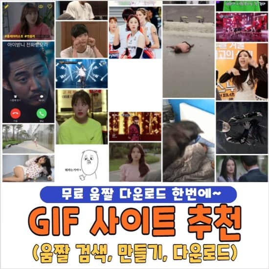 GIF 사이트 추천 TOP 4 | 무료 움짤 다운로드